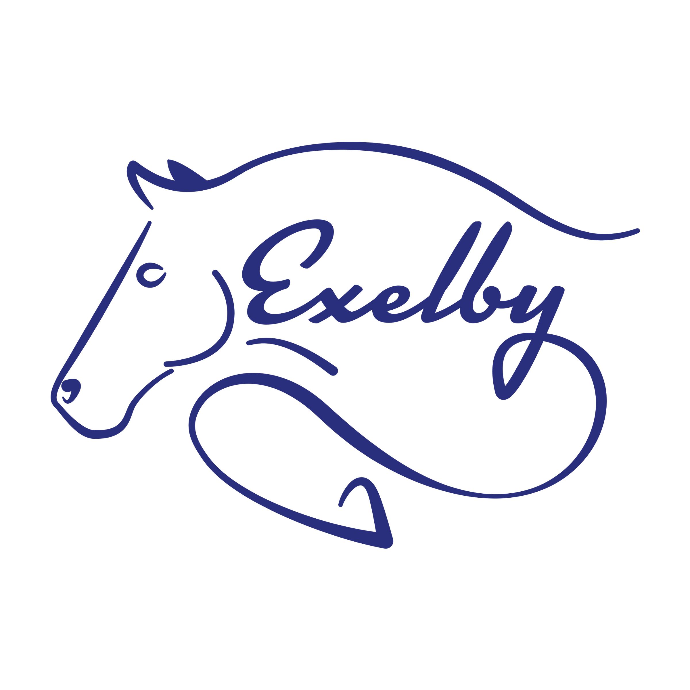 Home | Exelby Equine